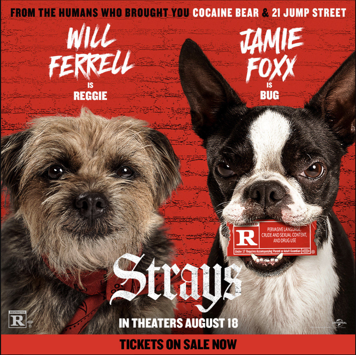STRAYS SCREENING 2023